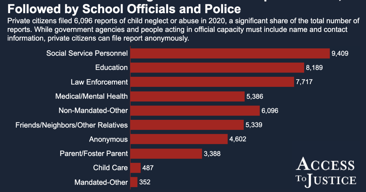 BDS | NY Public Defenders Ask Leaders To Protect Parental Rights