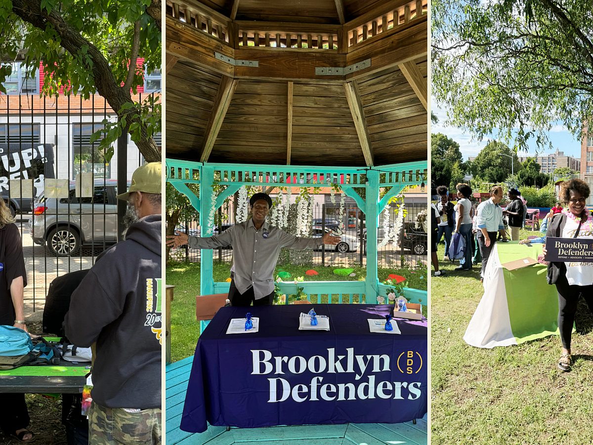 BDS | Brooklyn Defenders' Pro Bono Unit: Summer Update